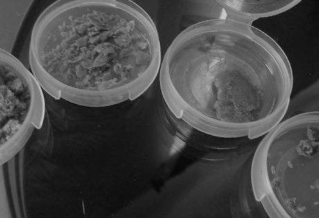 Dabbing and Concentrate Resources | Yo Dabba Dabba