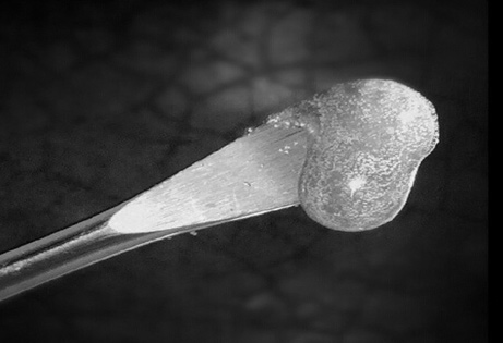 Dabbing and Concentrate Resources | Yo Dabba Dabba