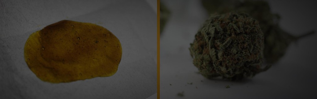 Index of /wp-content/uploads/2019/09/